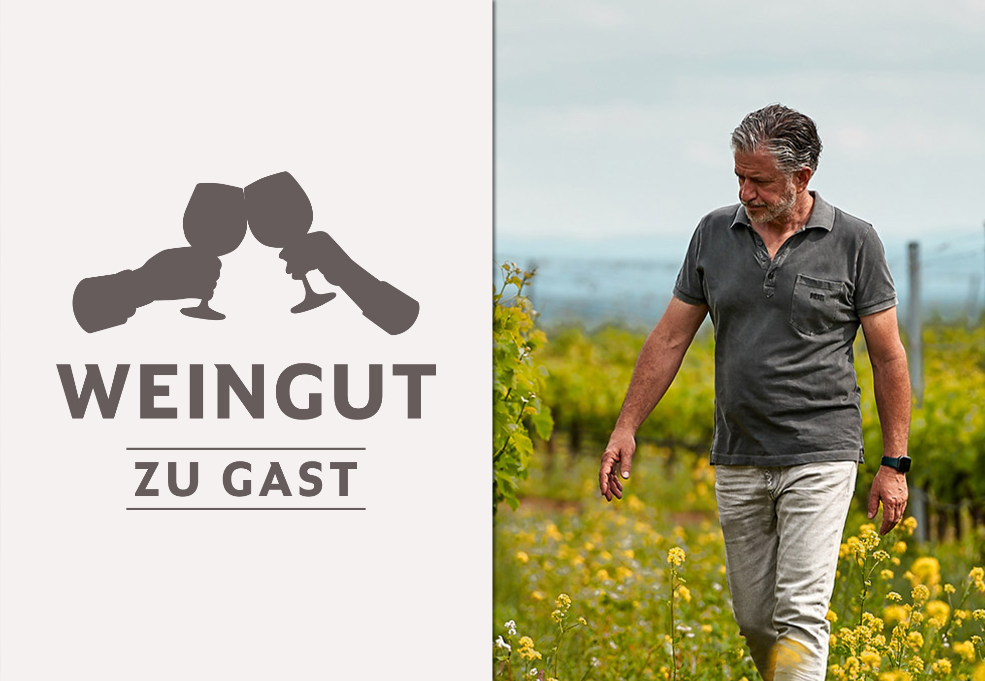 Weingut zu Gast - WEIN & CO