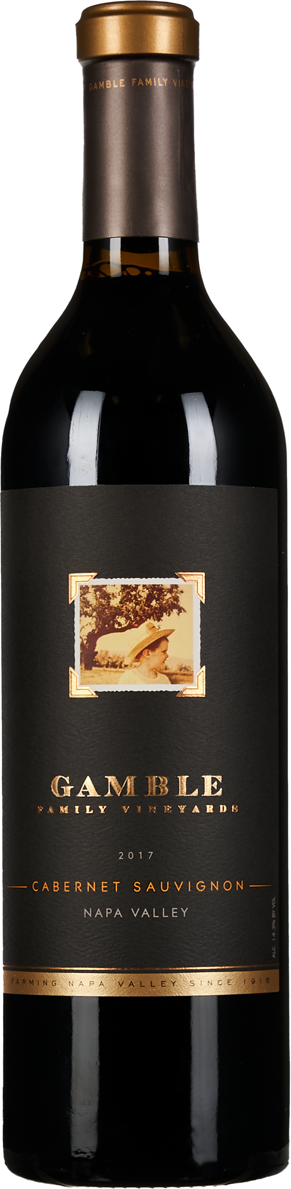 Gamble Family Vineyards Cabernet Sauvignon Napa Valley 2017 - WEIN & CO