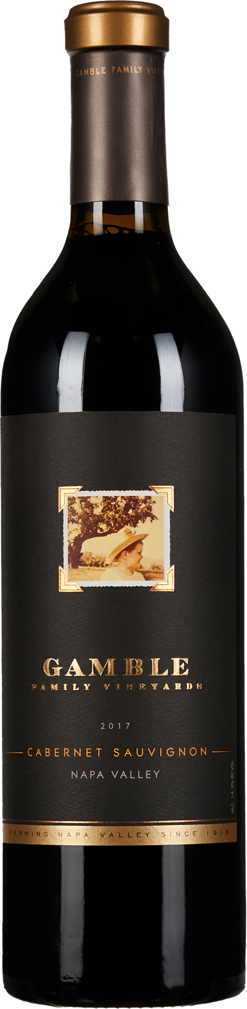 Gamble Family Vineyards Cabernet Sauvignon Napa Valley 2017 - WEIN & CO