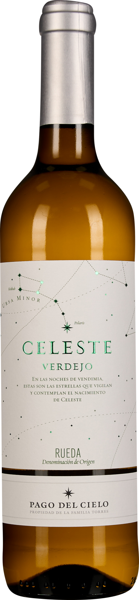 Familia Torres Celeste Verdejo Rueda 2024 - WEIN & CO