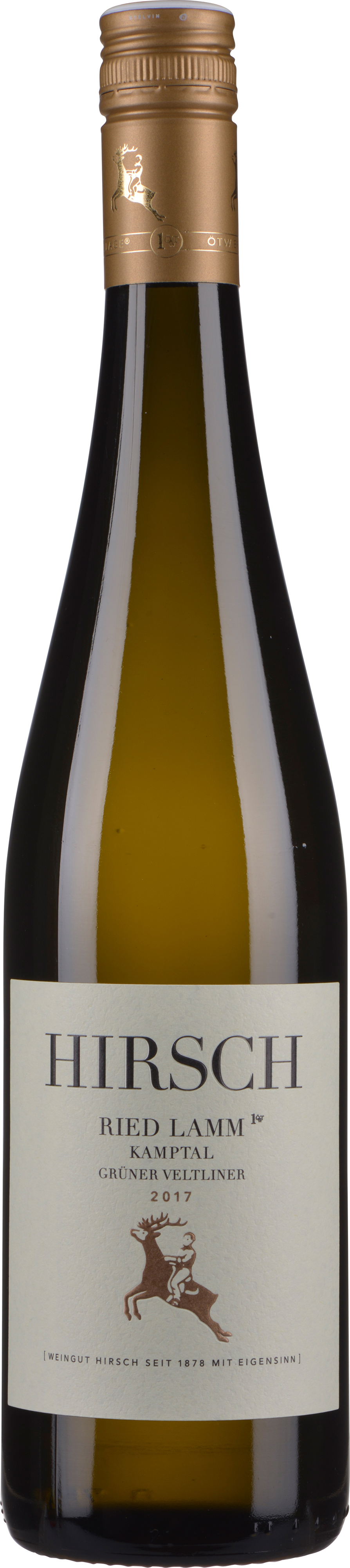 Hirsch Grüner Veltliner Ried Lamm 1ÖTW Erste Lage 2017 - WEIN & CO