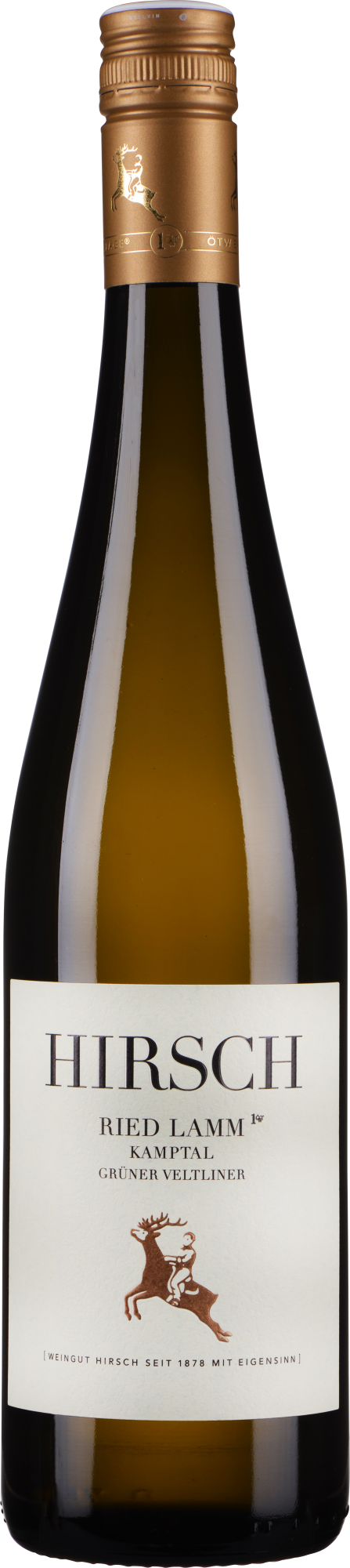 Hirsch Grüner Veltliner Ried Lamm 1ÖTW Erste Lage 2023 - WEIN & CO