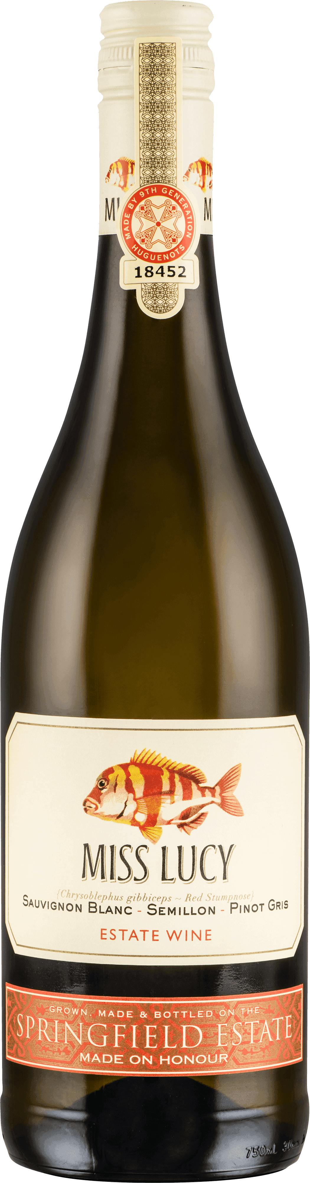 Springfield Miss Lucy 2014 - WEIN & CO